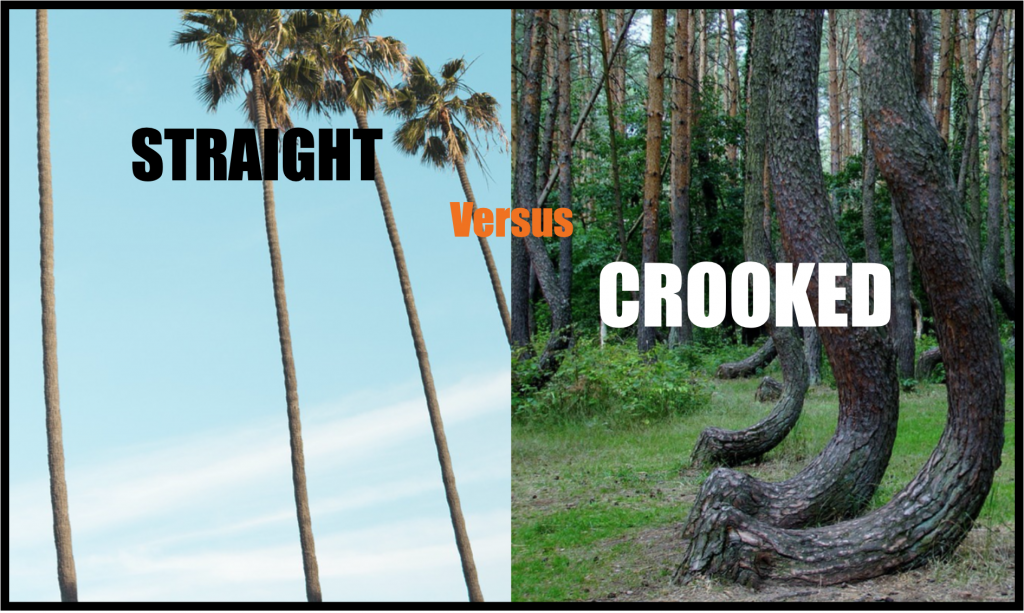 Straight versus Crooked Thinking - RayWLincoln.com