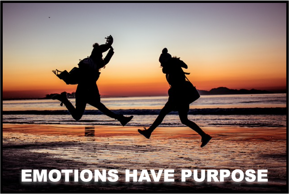 Do Emotions Have Purpose? - RayWLincoln.com