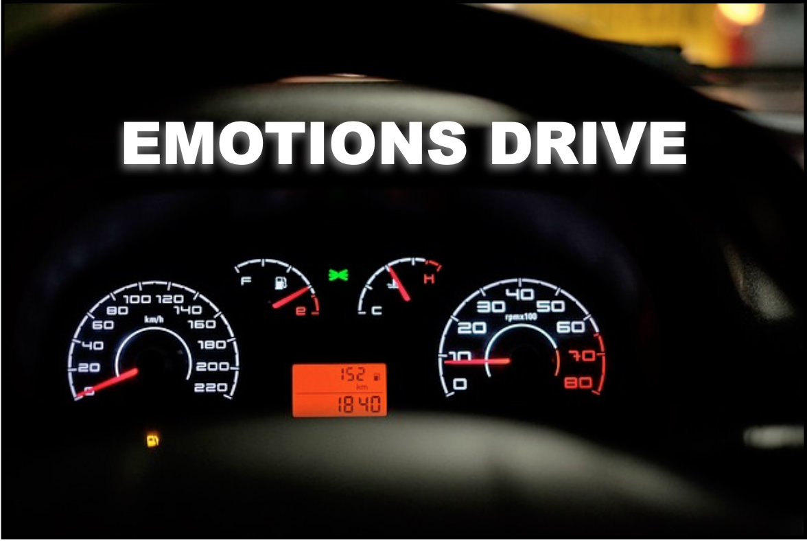 Emotions Drive Our Energy Centers - RayWLincoln.com