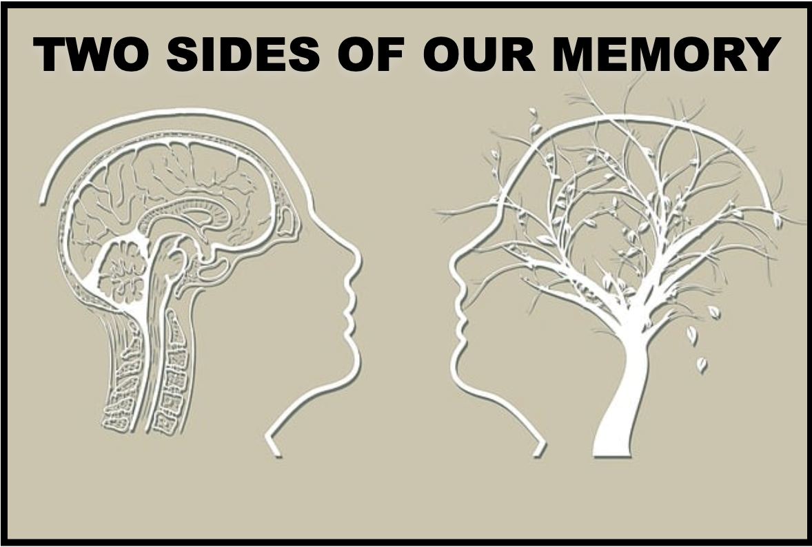 Two Sides of Our Memory: Memory and "Forgettery" - RayWLincoln.com