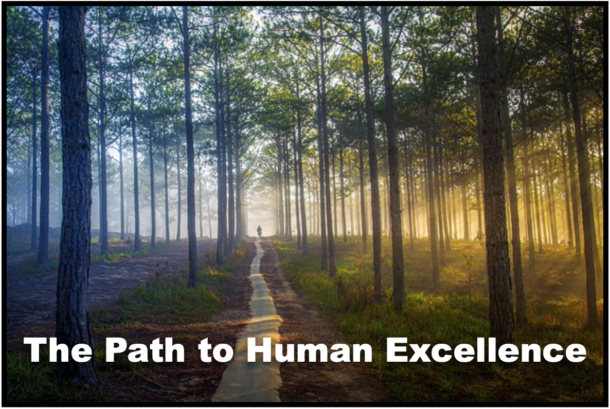 The Path to Human Excellence - RayWLincoln.com