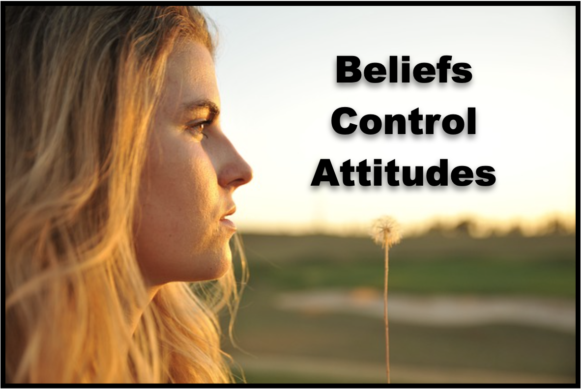 Beliefs Control Attitudes - RayWLincoln.com