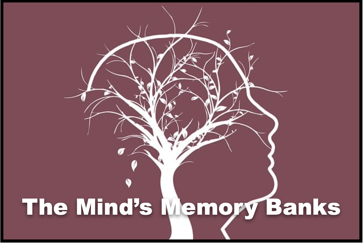 Use the Mind’s Memory Banks to Succeed - RayWLincoln.com