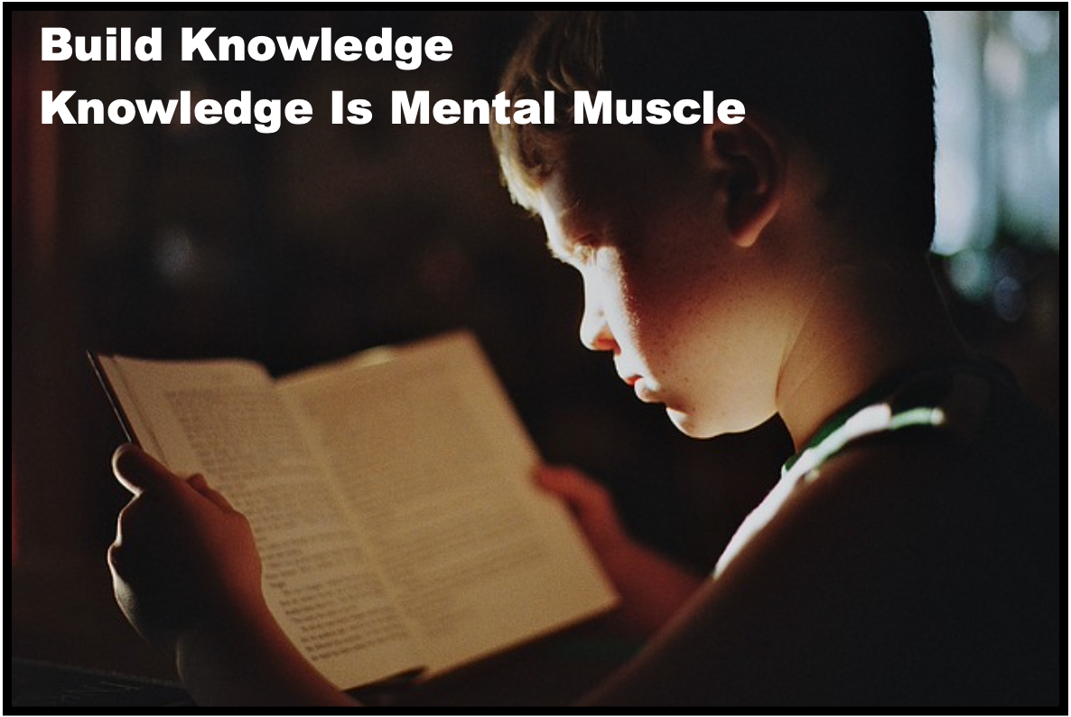Build Knowledge. Knowledge Is Mental Muscle! - RayWLincoln.com